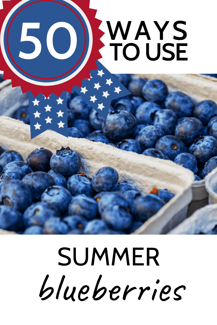 Big List of Blueberry Recipes - Must Love Lists