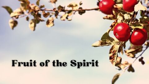 Fruit of the Spirit: Monthly Character Lessons for Teens - Must Love Lists