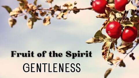 Fruit of the Spirit Character Lesson for Teens: Gentleness - Must Love ...